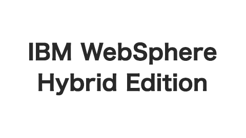 ソフトウェア・ソリューション | 株式会社イグアス